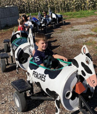 Activities & Attractions | Maris Farms - Buckley, WA