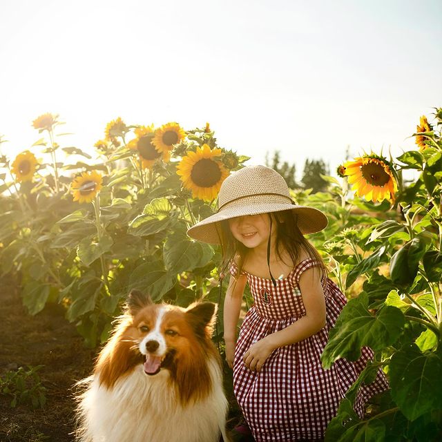 Maris Farms Summer Festival | Summer Festival in Buckley, WA