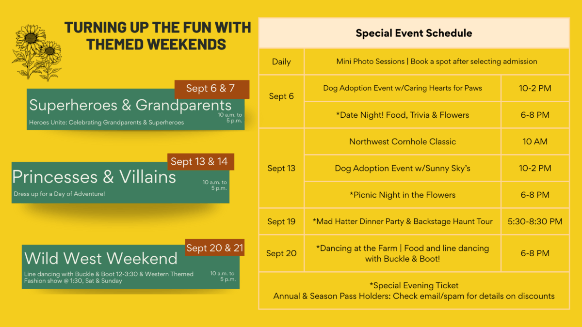 Maris Farms Sunflower Days | Sunflower Festival in Buckley, WA